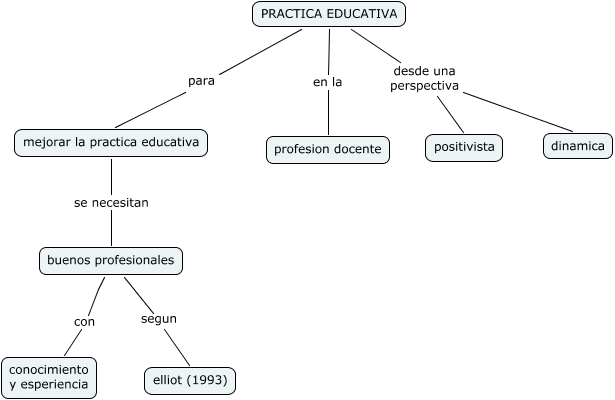 cinthia - ¿que es la practica educativa?